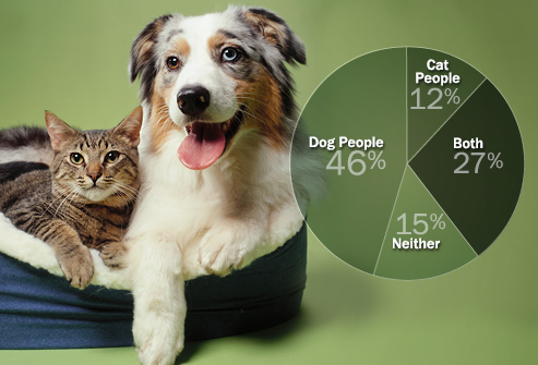 Poll: Dogs vs. Cats | Lustria Online